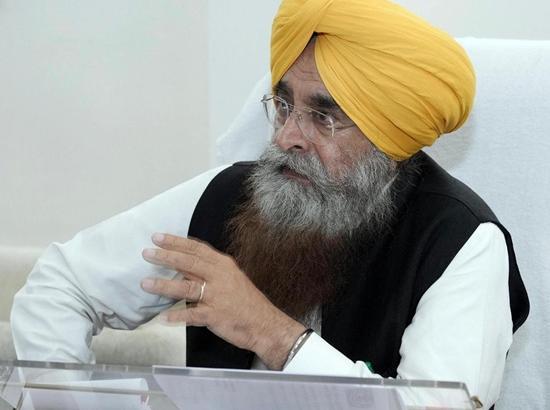 Punjab Govt launches five-day drive to revive flood-hit mandis before ...