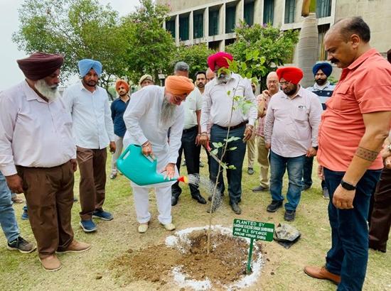 Speaker Kultar Singh Sandhwan launches special drive with sapling plant ...