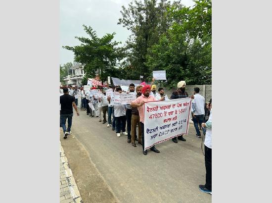 Veterinary doctors stage massive protest demanding pay parity, DACP ...