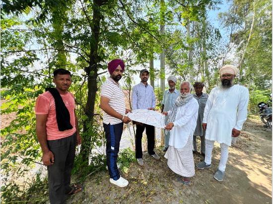 Special ‘girdawari’ begins in 113 flood-hit villages of Ferozepur ...